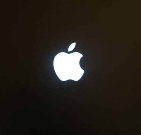 Apple Logo Stefanoost Flickr