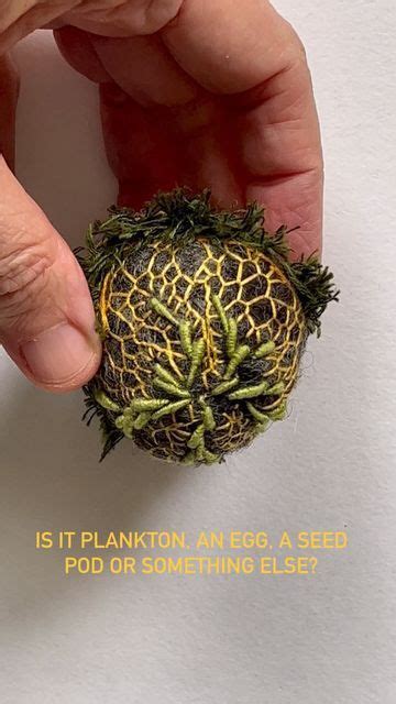 Mirjam Gielen On Instagram Another Felt Blob Turned Into Not Sure
