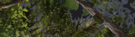 Rendering Visible HDRI With Turned On Transparency Blender Stack Exchange