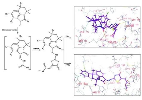 Design Synthesis And Evaluation Of New Hybrid Derivatives Of 5 6