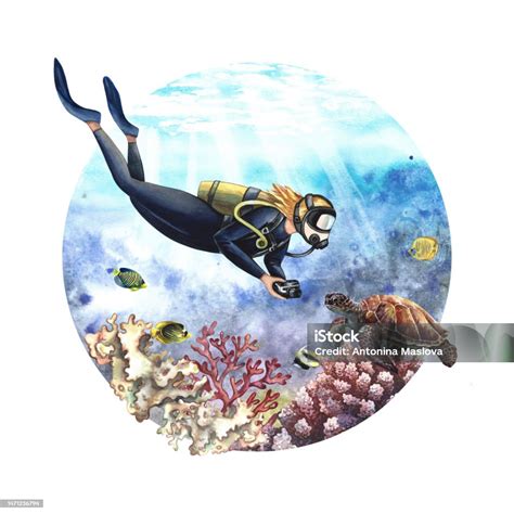 소녀 다이버는 수 중에서 수영합니다 수중 여행 손으로 그린 수채화 라벨 자석 명함에 대한 개념 거북이에 대한 스톡 벡터 아트 및 기타 이미지 Istock