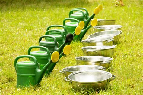 Lime Spreader Settings Scotts The Ultimate Guide