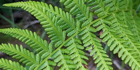 Managing Software Complexity Simple Is Not Easy Dev Community