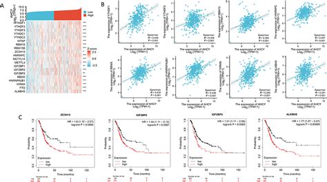 The Role Of Ahcy Expression In Bladder Urothelial Carcinoma A Compreh Cmar