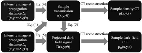 Flowchart Summarizing The Propagation Based Method Described In This