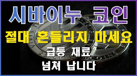 시바이누 코인 일론머스크 언급 초대박 급등간다 시바이누 시바이누전망 시바이누코인 Youtube