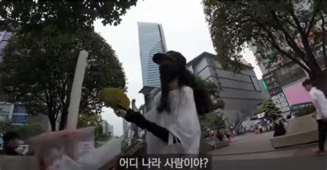 중국의 젊은 여자들이 좋아하는 국가 DogDrip Net 개드립