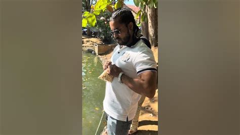 මේ දවස් වල ඇලිගේටර් භීශනේ නිසා මාත් ගියා ඇලිගේටර්ව බලන්න Youtube