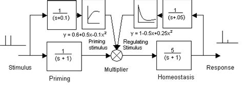 A New Nonlinear Model Of Mechanism Of Motivation Faisal Kadri S Cyber Kernels