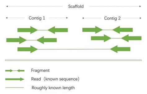 RPKMFPKM与TPM标准化 知乎