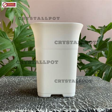 Jual Pot Bunga Tanaman Kotak Juoss 8 Putih Nkt Kotak 8 Putih Shopee Indonesia