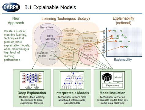 approximate and situated causality in deep learning