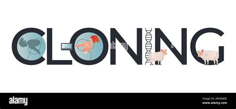 Cloning Genetics Composition With Flat Text And Icons Of Embryo Dna And Sheeps On Blank