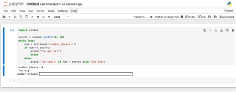 Input Function Not Working Notebook Jupyter Community Forum