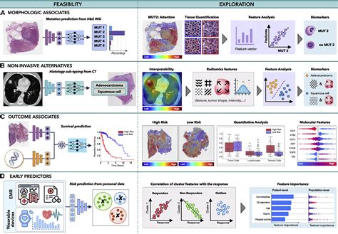 Artificial Intelligence For Multimodal Data Integration In Oncology Cancer Cell