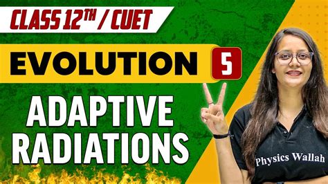 Evolution 05 Adaptive Radiations Class 12thcuet Youtube