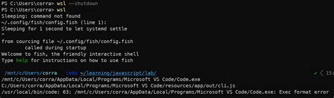 Cannot Open Explorerexecode In Wsl2 · Issue 8986 · Microsoftwsl · Github