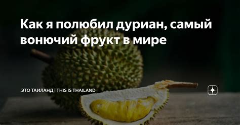 Как я полюбил дуриан самый вонючий фрукт в мире Это Таиланд This Is Thailand Дзен
