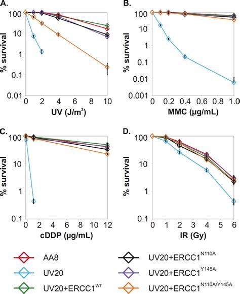 Mutations In The Xpa Binding Domain Of Ercc1 Inhibit Ner But Not Icl Or Download Scientific