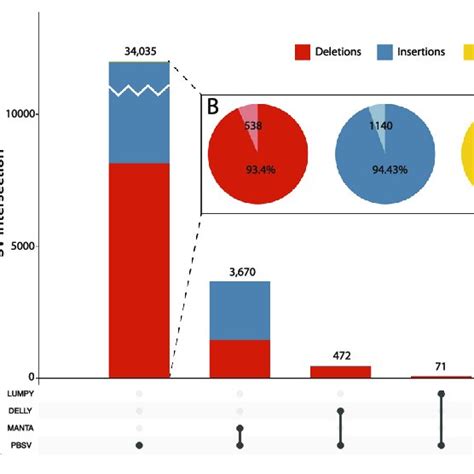 Comparison Of Structural Variants Called With Long Read Sequencing And