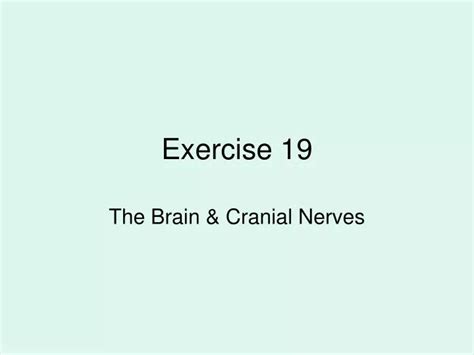 PPT Exercise 19 PowerPoint Presentation Free Download ID 834082