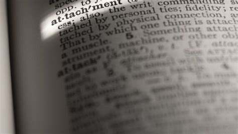 Los 7 Mejores Libros Sobre Neurociencia Y Educación Grulla Psicología