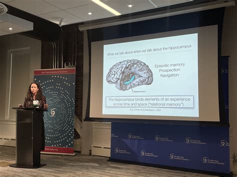 Leon Levy Scholarships In Neuroscience Archives Leon Levy Foundation