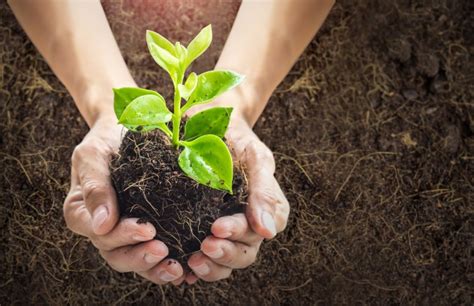 Биологично земеделие Sem Centres