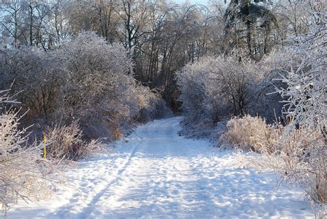 눈 겨울 길 Pixabay의 무료 사진