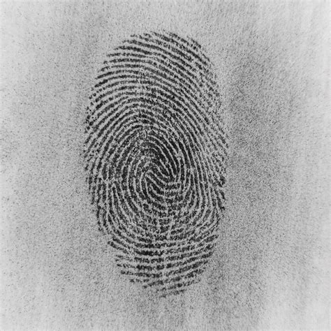 Csi Pro 2 Forenscope