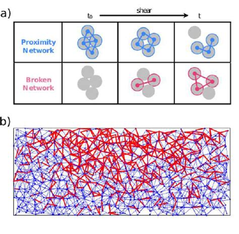 A A Schematic Of The Definition And Growth Of The Broken Links Download Scientific Diagram