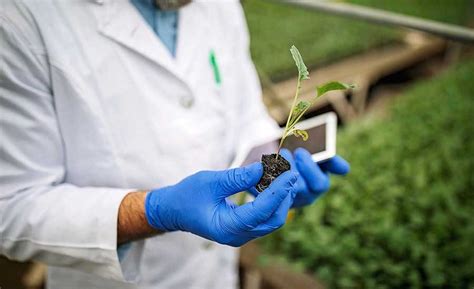 How To Develop A Sampling Plan Food Safety