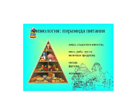 Презентация "Физиология питания"