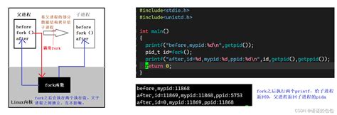 【linux】进程控制创建、终止、等待linux 创建进程 避免等待 Csdn博客