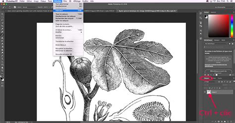 tutoriel photoshop créer des sélections très précises avec les