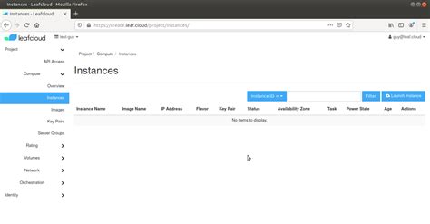 Launching An Instance Leafcloud Documentation