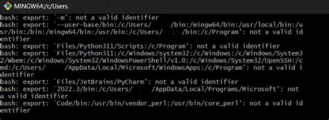 Problem With Git Bash Rgit