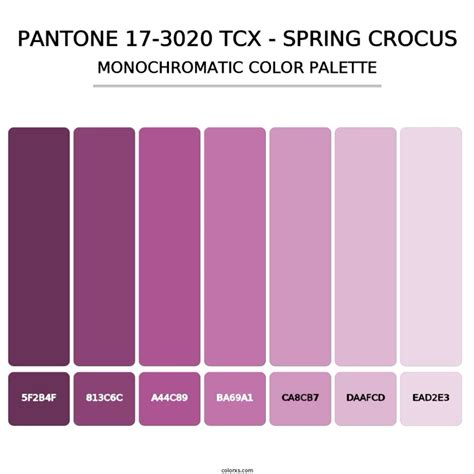 Best Magenta Color Palettes With Names And Hex Codes Artofit