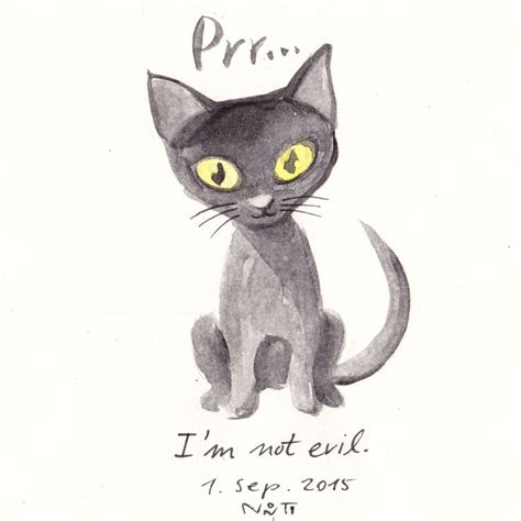 Cute Kitty Cat Django