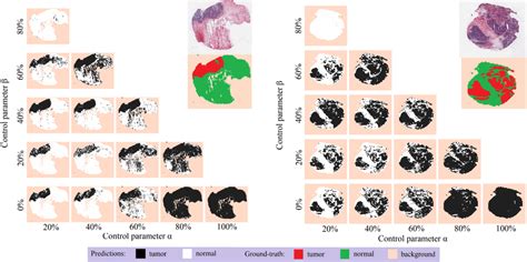 Quantitative Results For The 15 Benchmarked Configurations On The