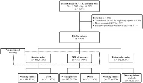 Scheme Of Group Distribution Ecmo Extracorporeal Membrane
