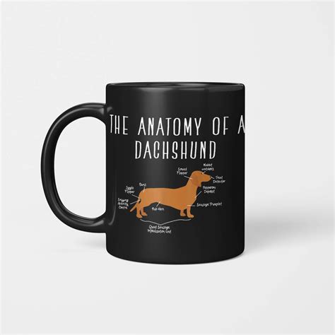 Anatomy Dachshund Anatomy Funny Dog Cute Doxie Lover Animalstee