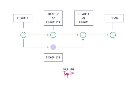 Git Terminology Scaler Topics