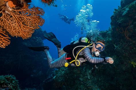 Scuba Divers Paradise Make A Splash And Enjoy Diving At Sdp This Weekend Sat Its A Piecation
