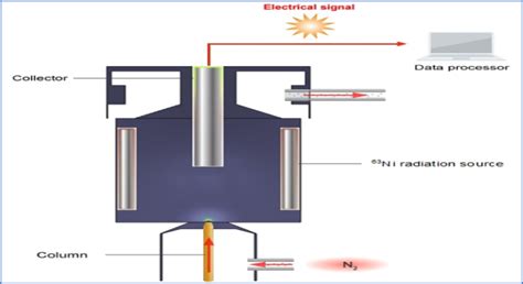 Gas Chromatography Detector Type Of GC Detectors PharmaSciences