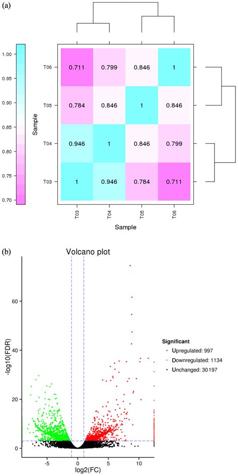 AAB Comparative Transcriptome And Histomorphology Analysis Of Testis
