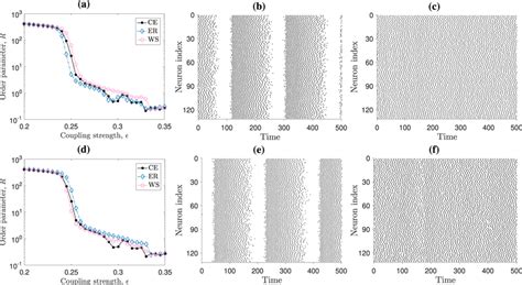collective dynamics for different coupling strengths and network