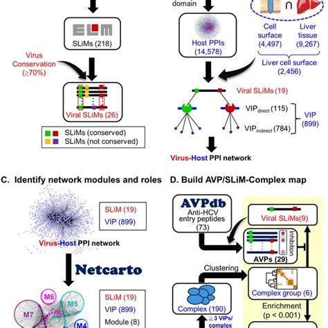 The Four Components Of Our Bioinformatics Strategy Download Scientific Diagram