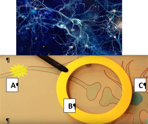 Édito C1 Thème 4 Encoder Les Données Diagram Quizlet