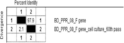Divergence And Similarities Between F Gene Sequences Of Ppr Virus Of Download Scientific